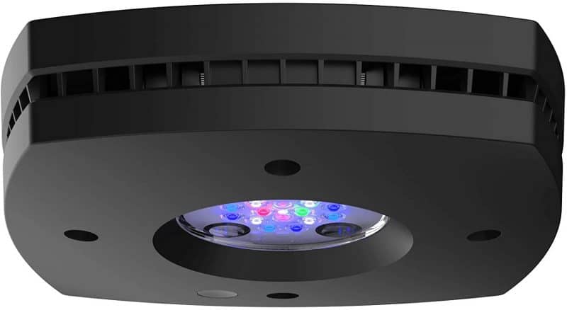 The 10 Best LED Refugium Lights to Buy in 2024 - PetMag