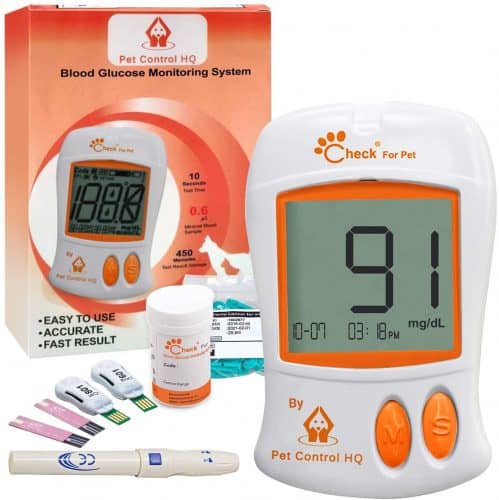 The 10 Best Glucose Meters for Cats in 2025 - PetMag