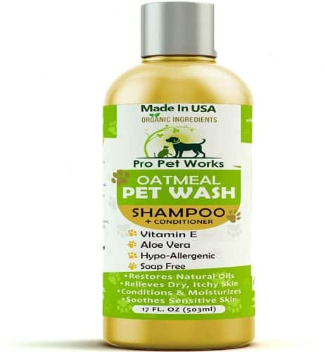 The 10 Best Cat Shampoos to Buy in 2025 - PetMag