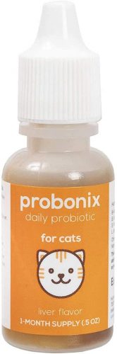 The 10 Best Probiotics for Your Cat in 2026 - PetMag