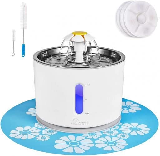 The 10 Best Cat Water Fountains to Buy in 2022 - PetMag
