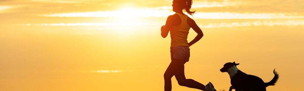 The 12 Best Dog Breeds for Running - Short & Long Distances