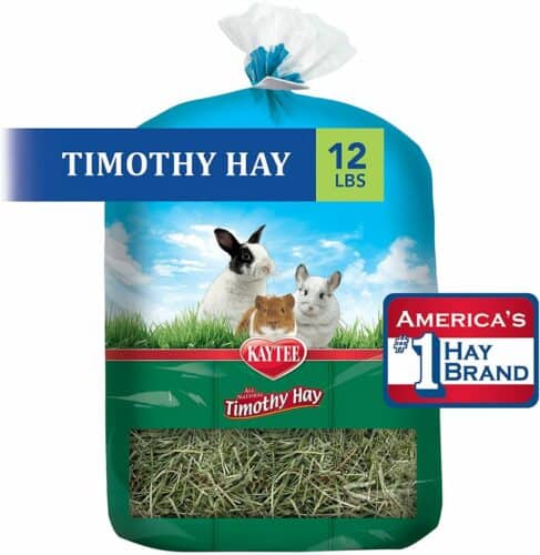 The 13 Best Hamster Foods to Buy in 2026 - PetMag