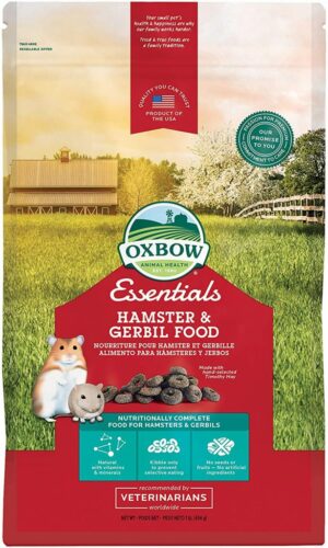 The 13 Best Hamster Foods to Buy in 2026 - PetMag