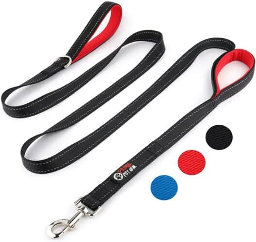 The 10 Best Dog Leashes in 2024 - PetMag