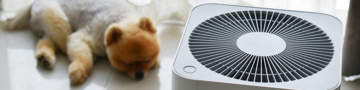 The 10 Best Pet Air Purifiers to Breathe Easy in 2026 - PetMag
