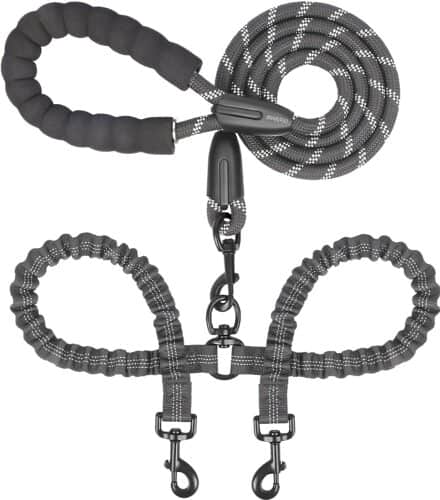 The 10 Best Dog Leashes in 2025 - PetMag