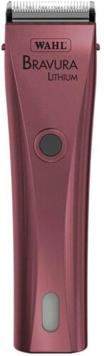 The 8 Best Electric Shavers for Cats in 2024 - PetMag
