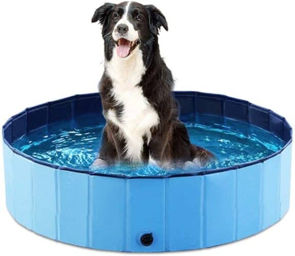 The 10 Best Dog Pools to Keep Your Dog Cool in 2025 - PetMag