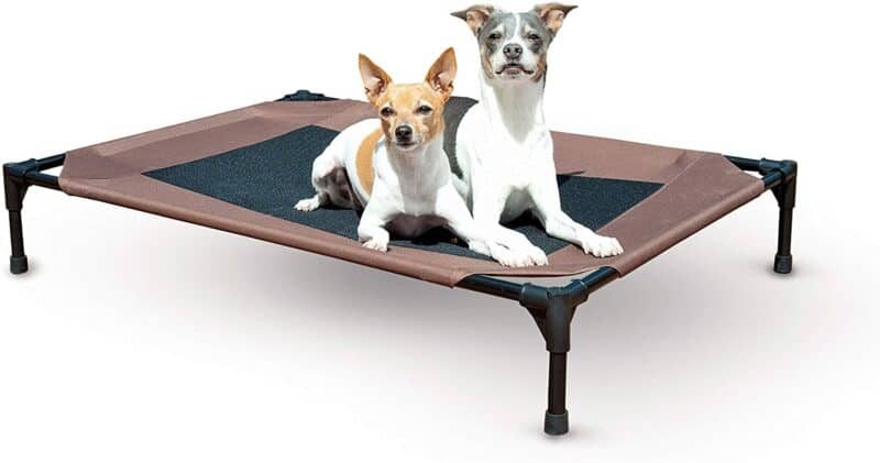 The 10 Best Indestructible Dog Beds in 2026 - PetMag