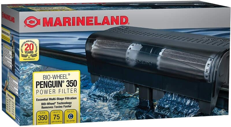 The 10 Best Aquarium Filters to Keep Your Tank Clean in 2025 - PetMag